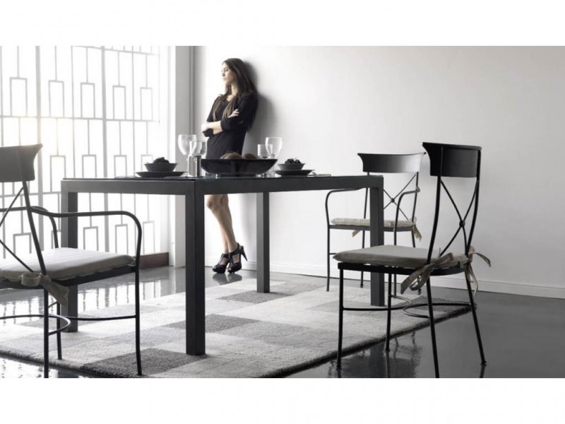 Chaises en fer forgé, Fauteuil de table en fer - Lotusea